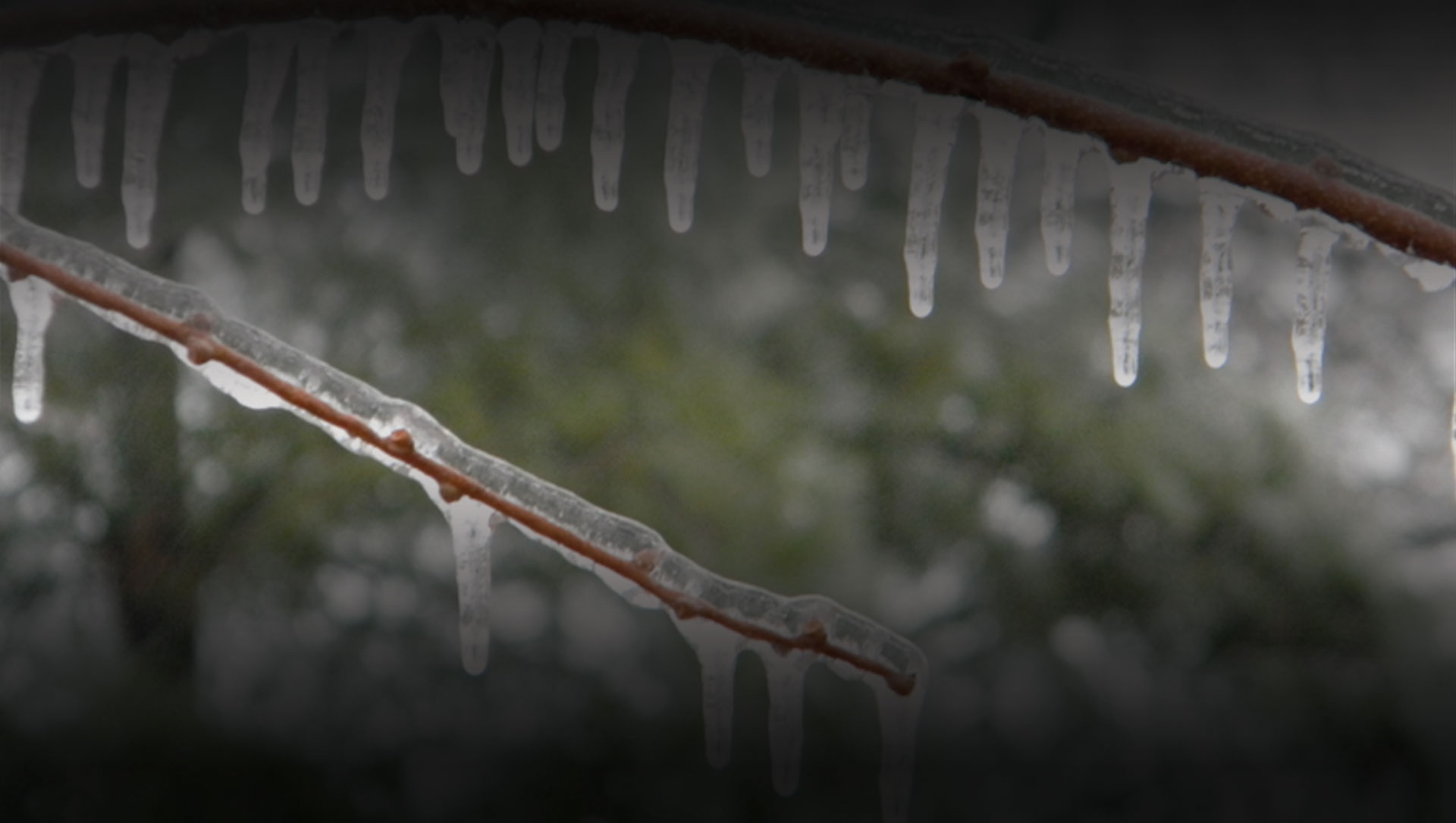 Ice Storm Warning Tonight – Arctic Newsroom